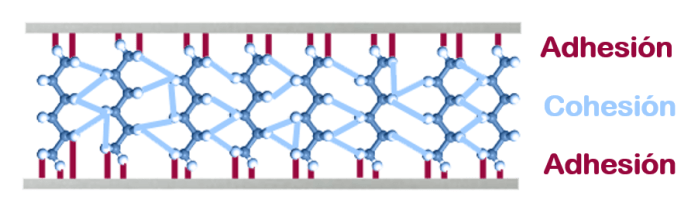 Los Polímeros en los Adhesivos